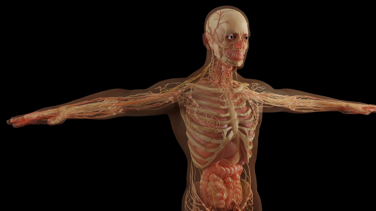 3D Life - Hellenic Institute of Cultural Diplomacy